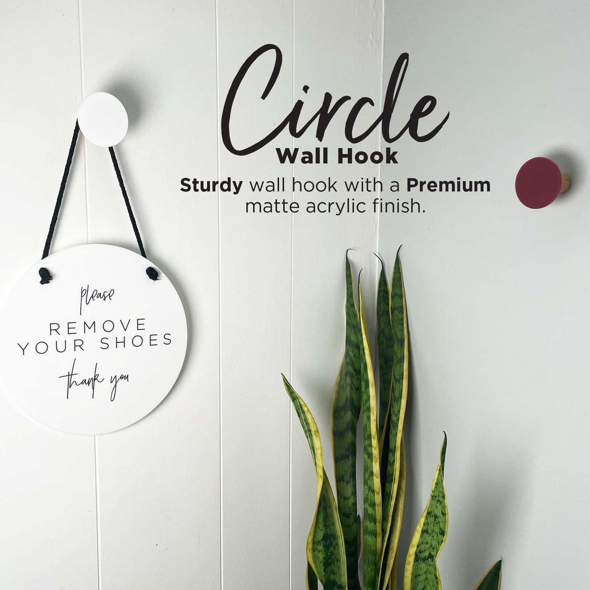 Circle Wall Hook - Set | Coloured Acrylic Circle Wall Hook – CoCreative ...