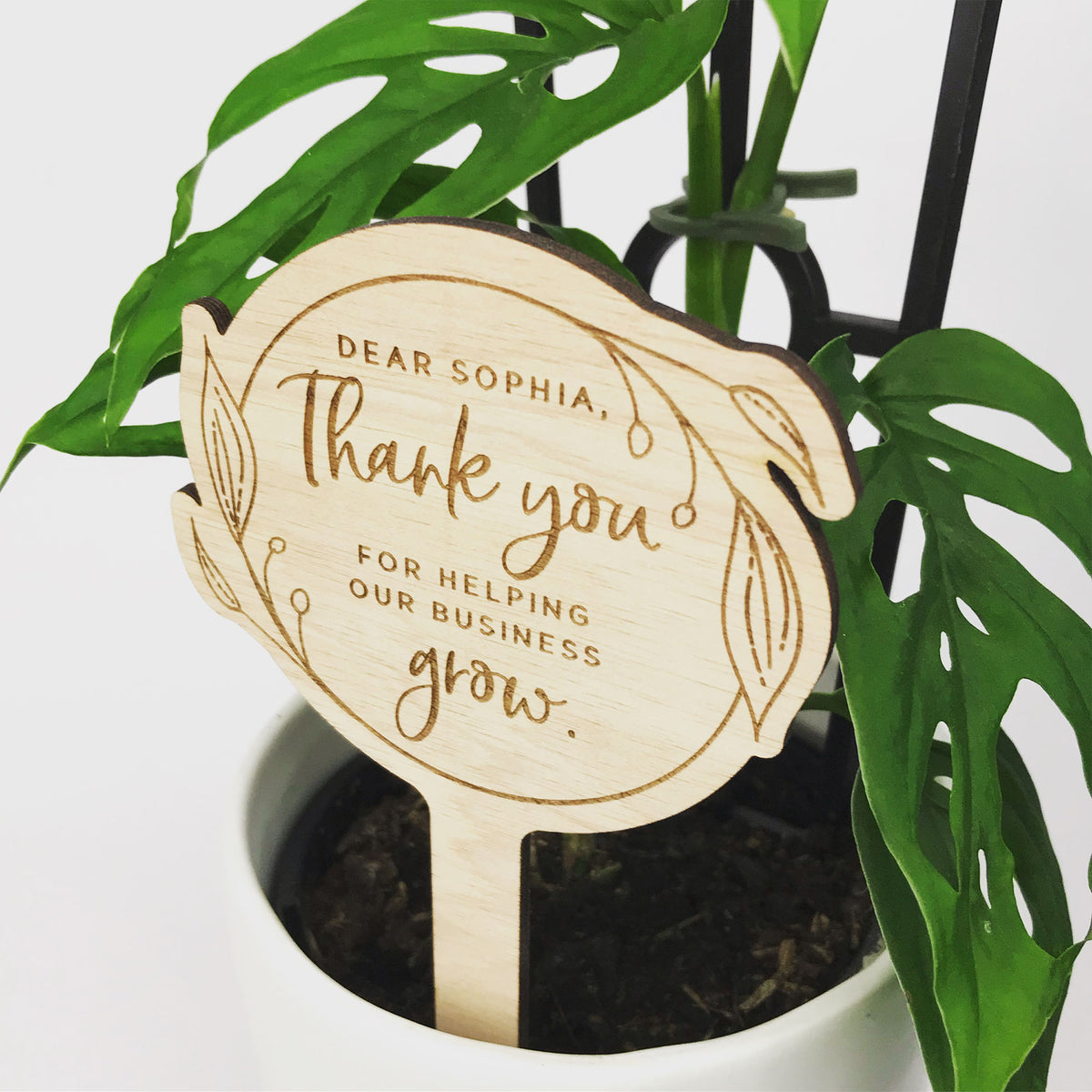 Personalised Planter Stick - Wood + Acrylic – CoCreative Design